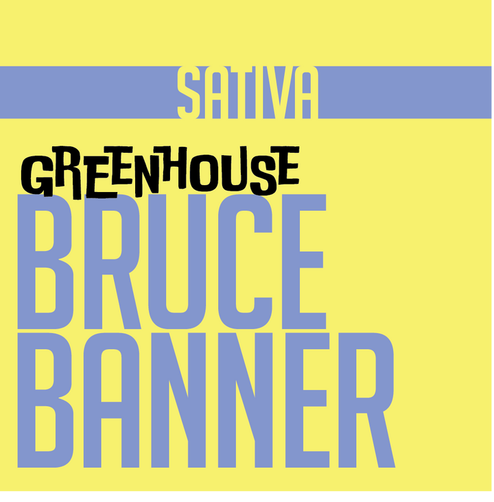 GREENHOUSE FLOWER BRUCE BANNER – Canna Kingdom