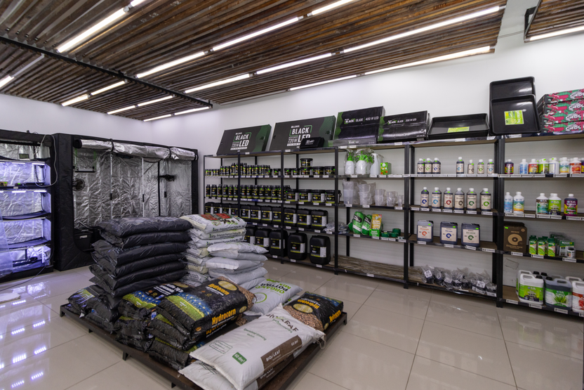 Collections – Canna Kingdom